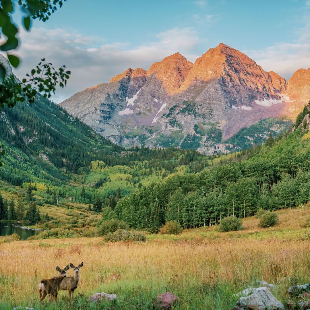 Aspen Snowmass en Verano: El Secreto Mejor Guardado – Hospitalitas 5.0
